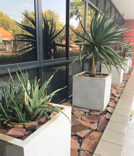 Gallery – WilsonStone